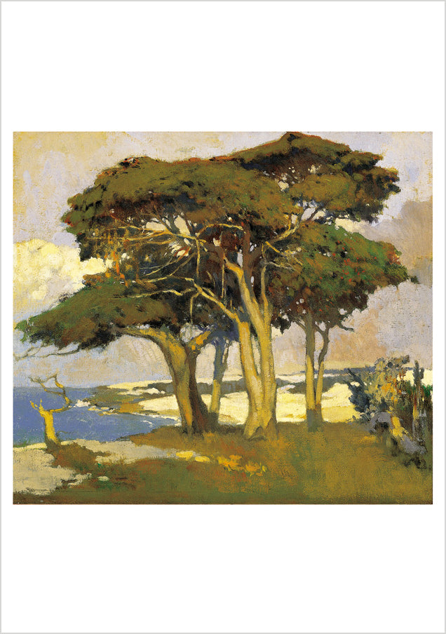 Arthur F. Mathews: Cypresses Boxed Notecard Assortment – Pomegranate