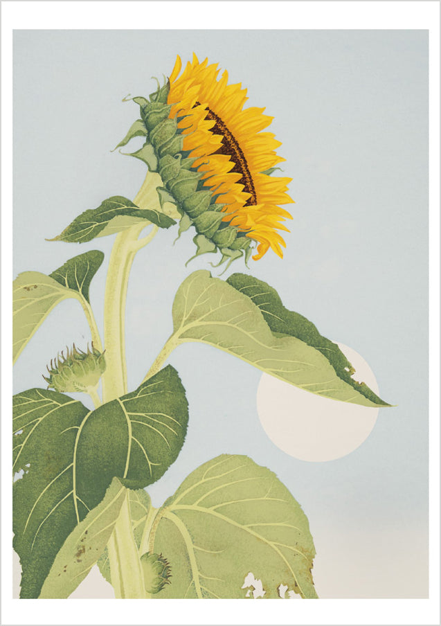 Kate Krasin: Sunflower Notecard – Pomegranate